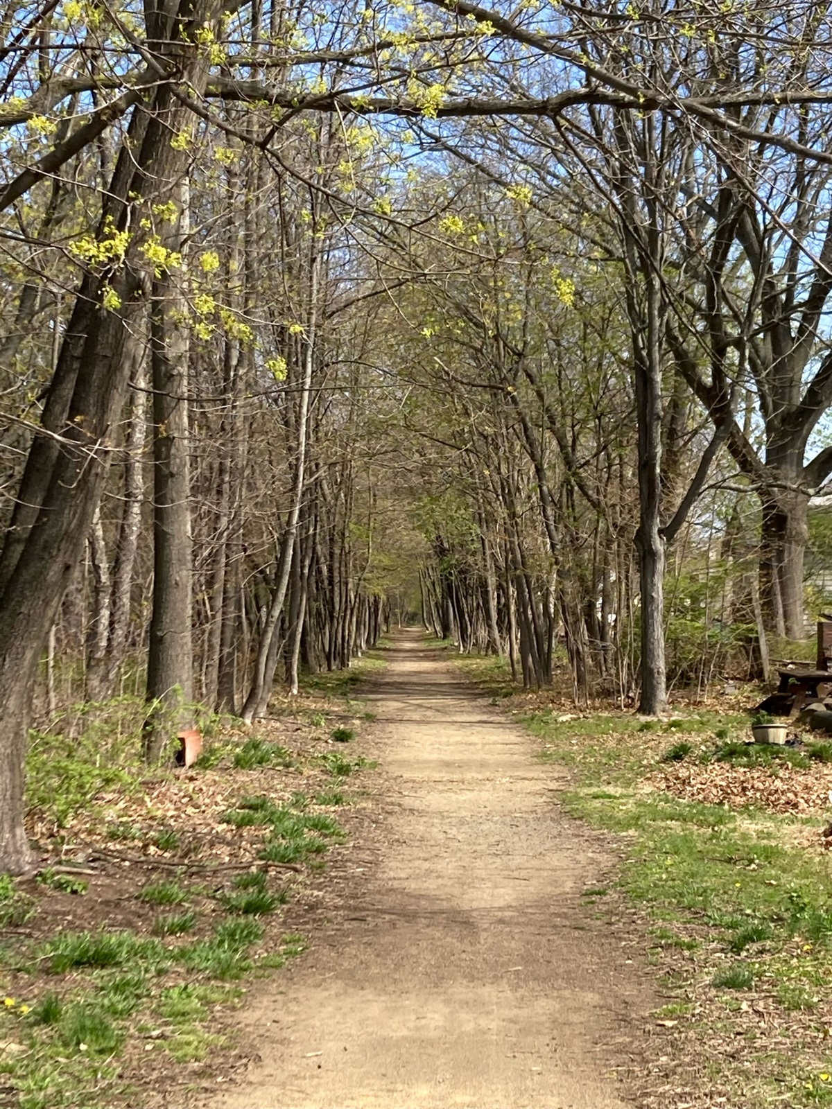 Cheney Rail Trail Walk & Pick Up Town of Manchester